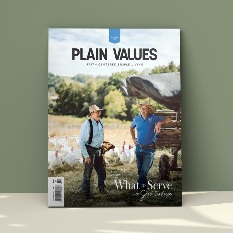 Annual Subscription | Plain Values