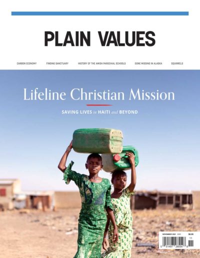 Issue 101 | November 2021 | Plain Values