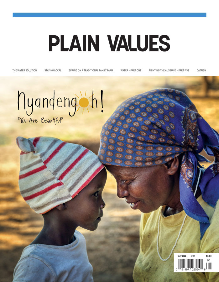 Issue 107 | May 2022 | Plain Values