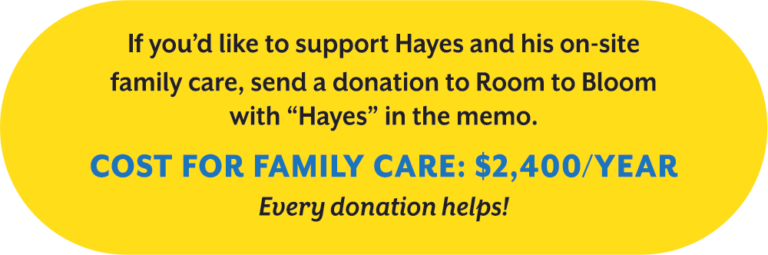 Fundraising for Hayes | Plain Values